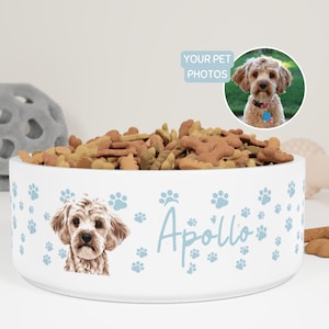 Custom Dog Bowl Using Pet Photo With Name Personalized Pet Bowl ...