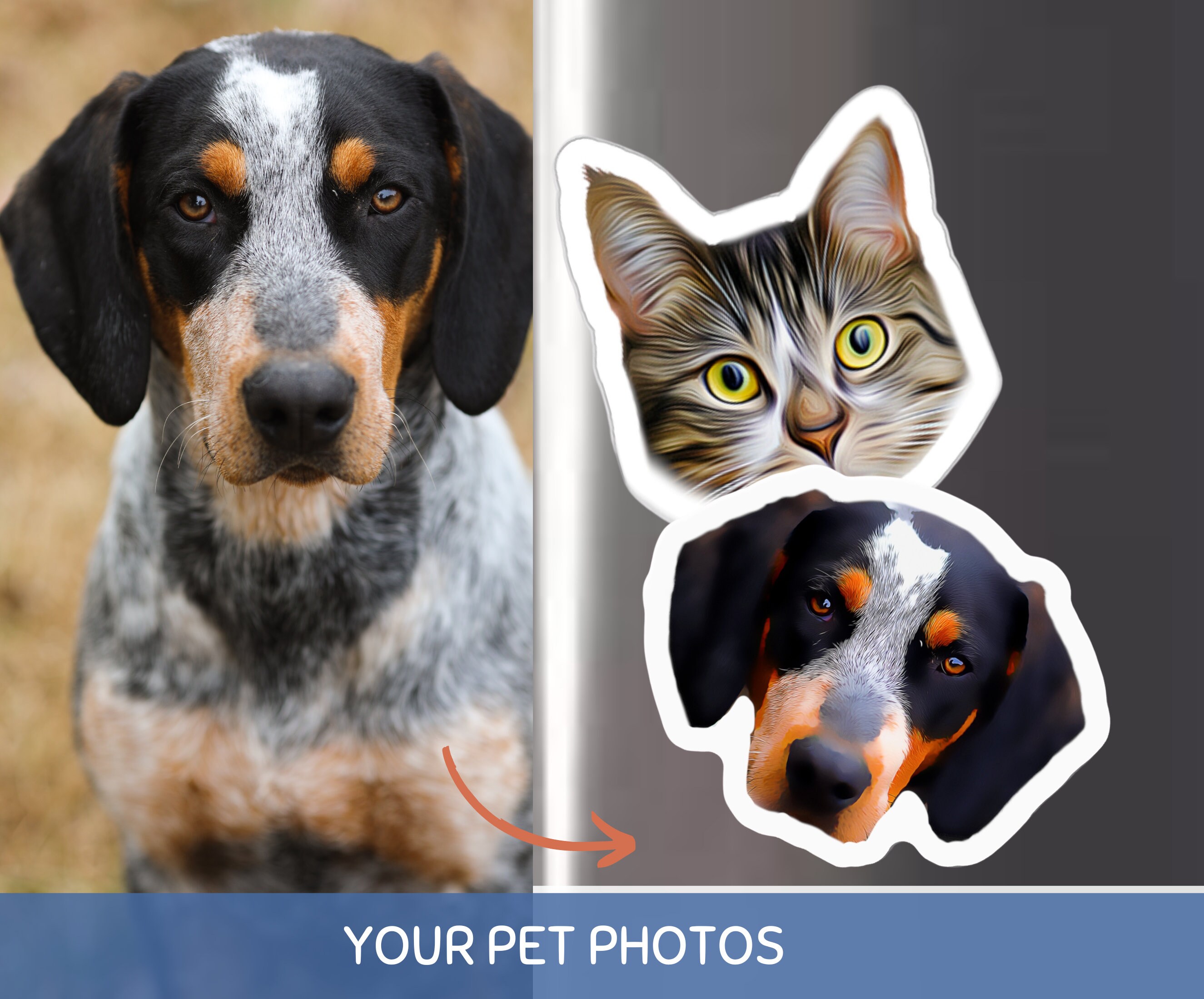 Custom Pet Magnet Using Pet Photo Custom Dog Face Magnet - Etsy