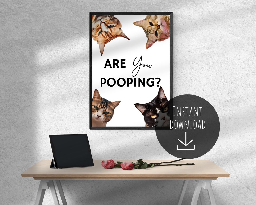Funny Grumpy Cats Poster Are You Pooping Instant Digital Print for Best ...