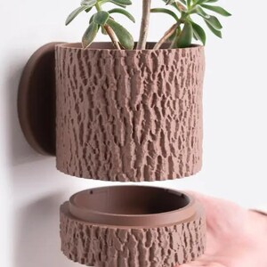 Tree Bark Planter Rustic Nature-inspired Pot Indoor Eco-friendly Decor ...