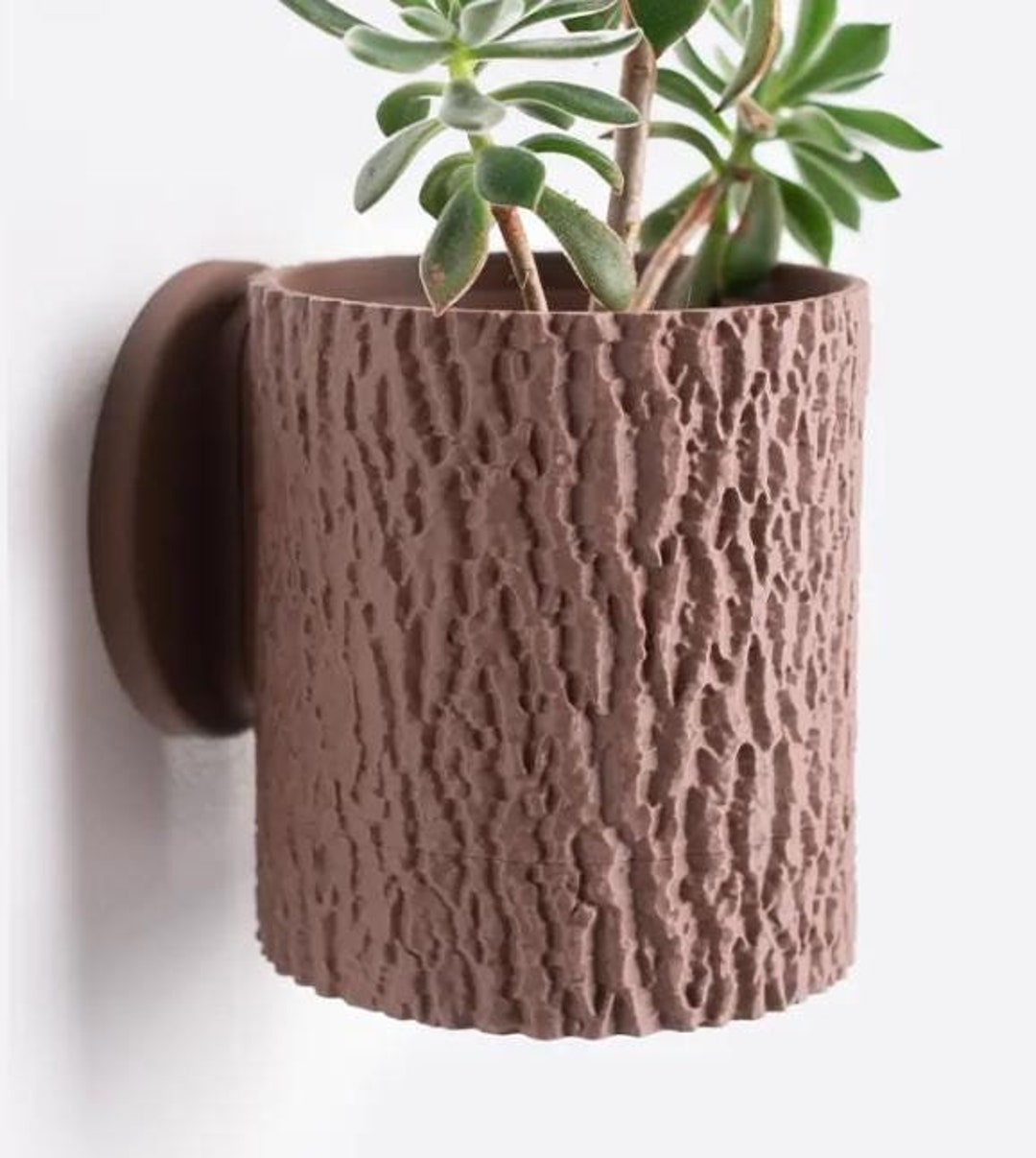 Tree Bark Planter Rustic Nature-inspired Pot Indoor Eco-friendly Decor ...
