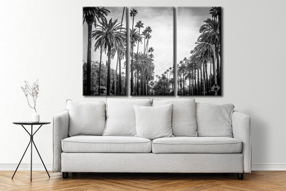 LA Beverly Hills Palm Trees Canvas Wall Art, B&W Photo, Ready to Hang ...