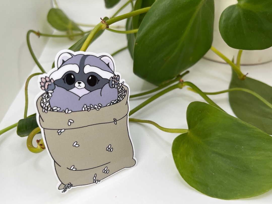CLEARANCE Raccoon Sticker Raccoon in Rice Sticker - Etsy