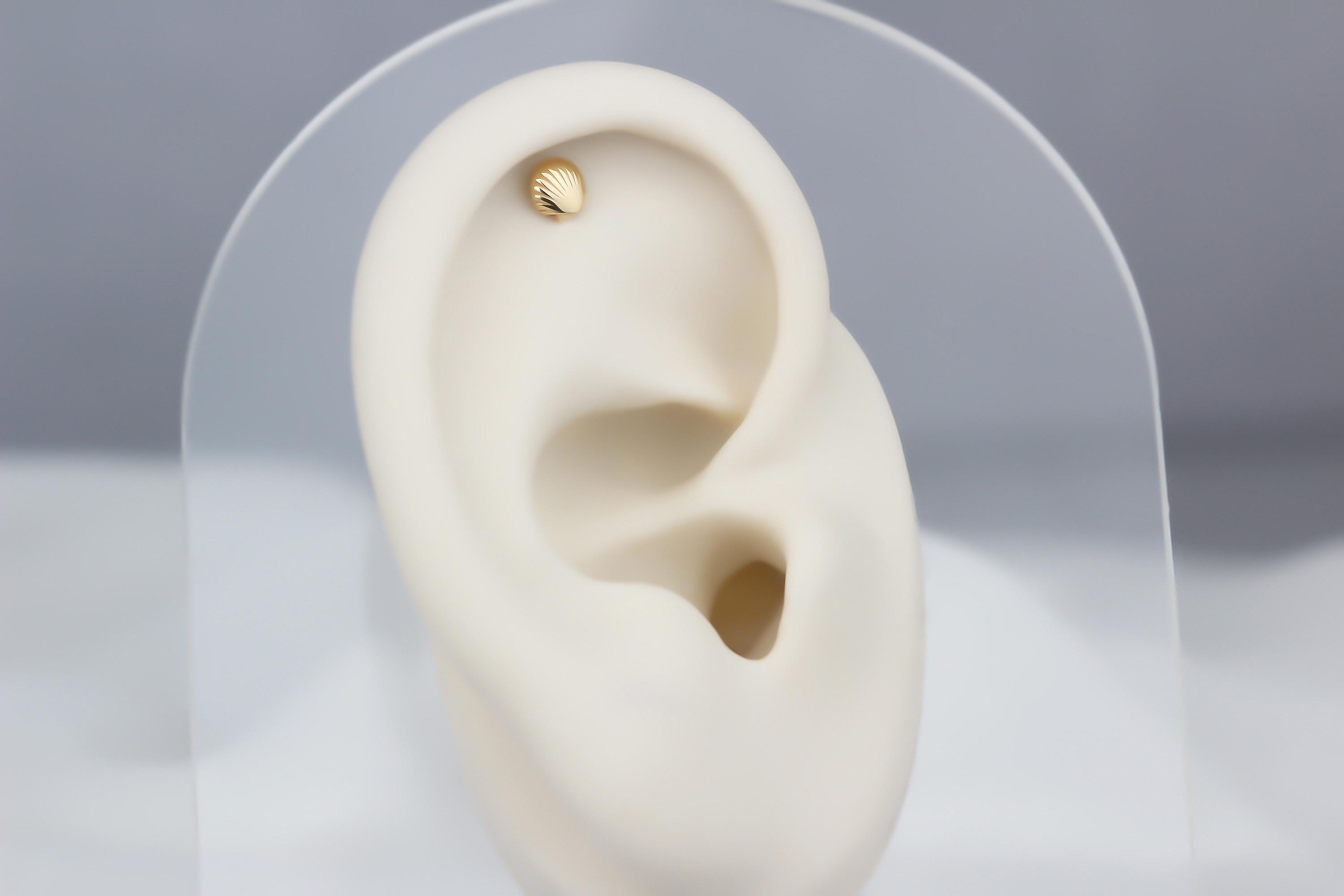 14K Solid Gold Sea Shell Helix Piercing: 18G Cartilage Stud - Etsy