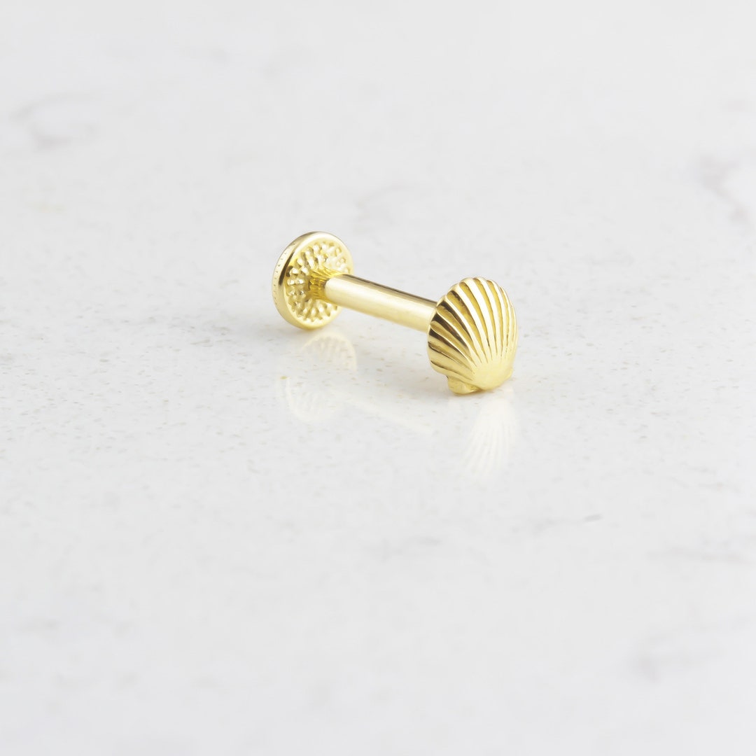14K Solid Gold Sea Shell Piercing: 16G Tragus Stud - Etsy