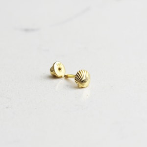 14K Solid Gold Sea Shell Helix Piercing: 18G Cartilage Stud - Etsy