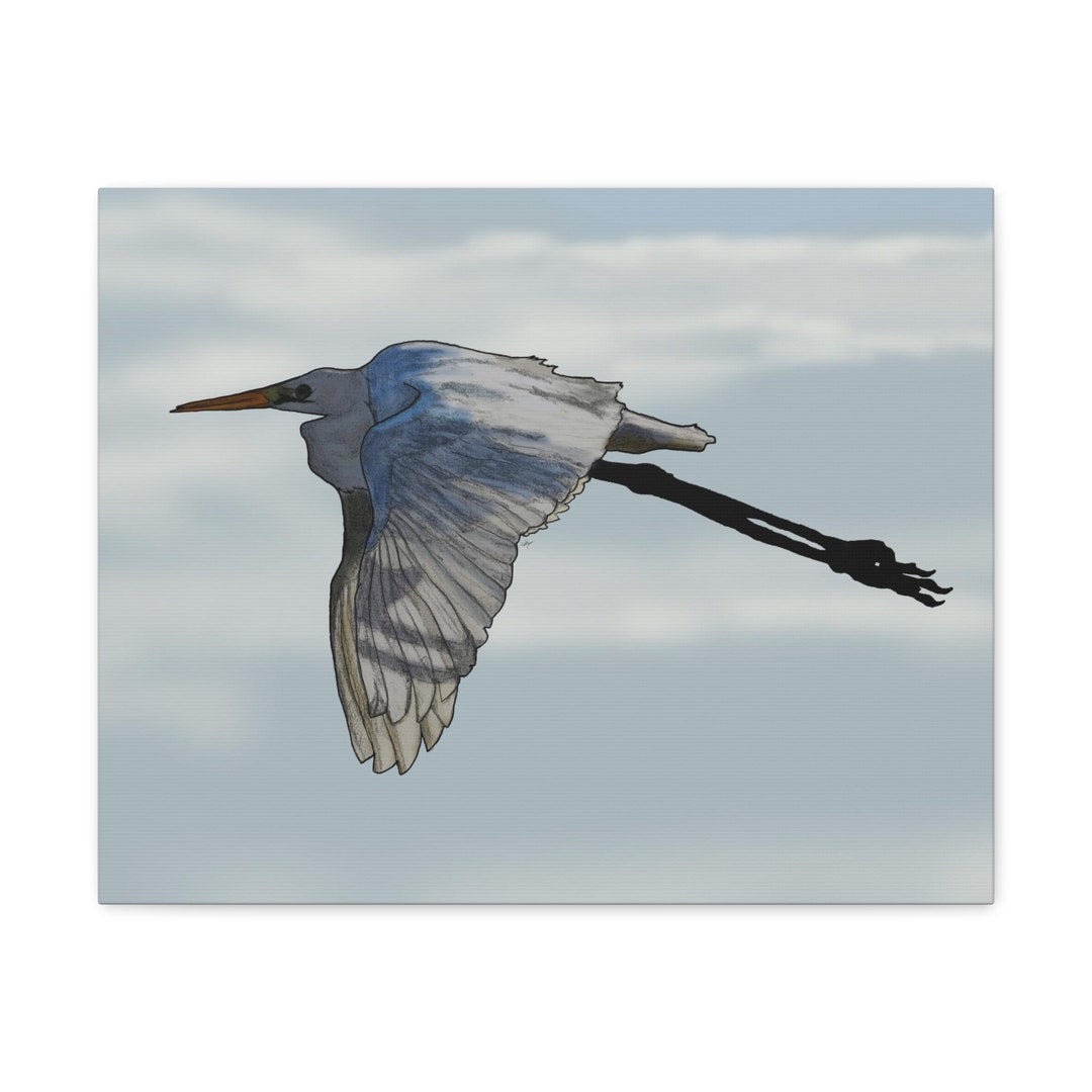 Great Egret Drawing Printed on Canvas in Multiple Sizes - Etsy