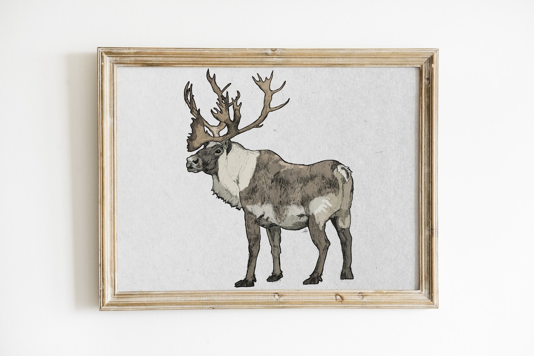 Caribou Drawing Digital Download Print in 5 Sizes - Etsy