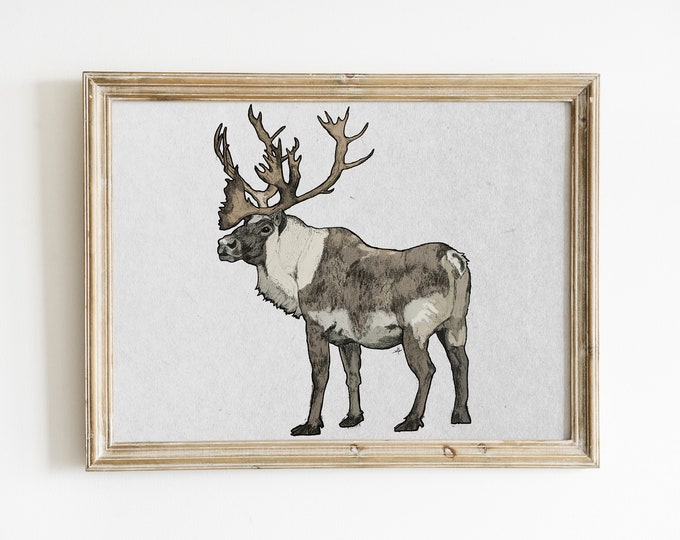 Caribou Spirit Drawing, Caribou Illustration, Line Drawing ...
