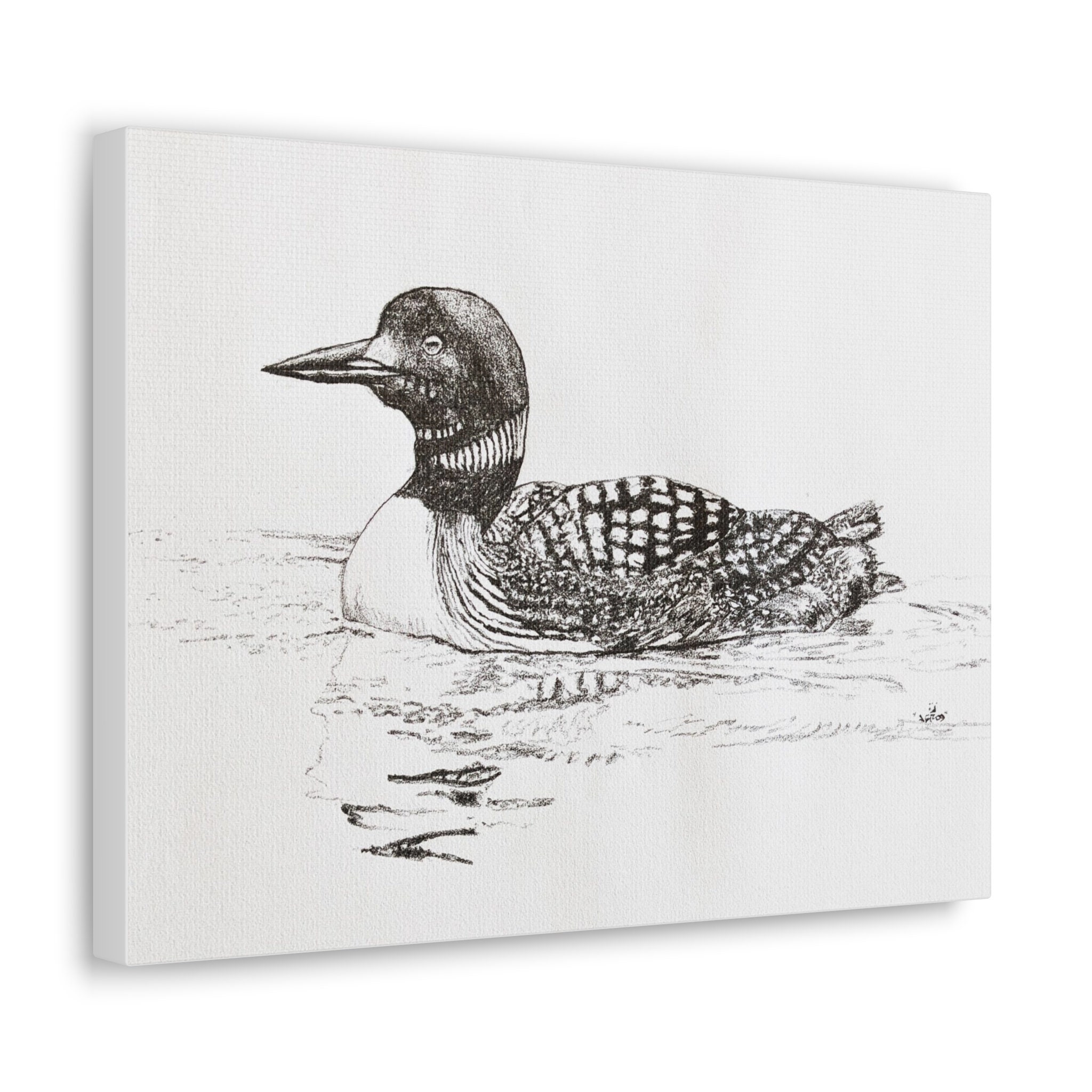 Loon Drawing Printed on Canvas in Multiple Sizes - Etsy