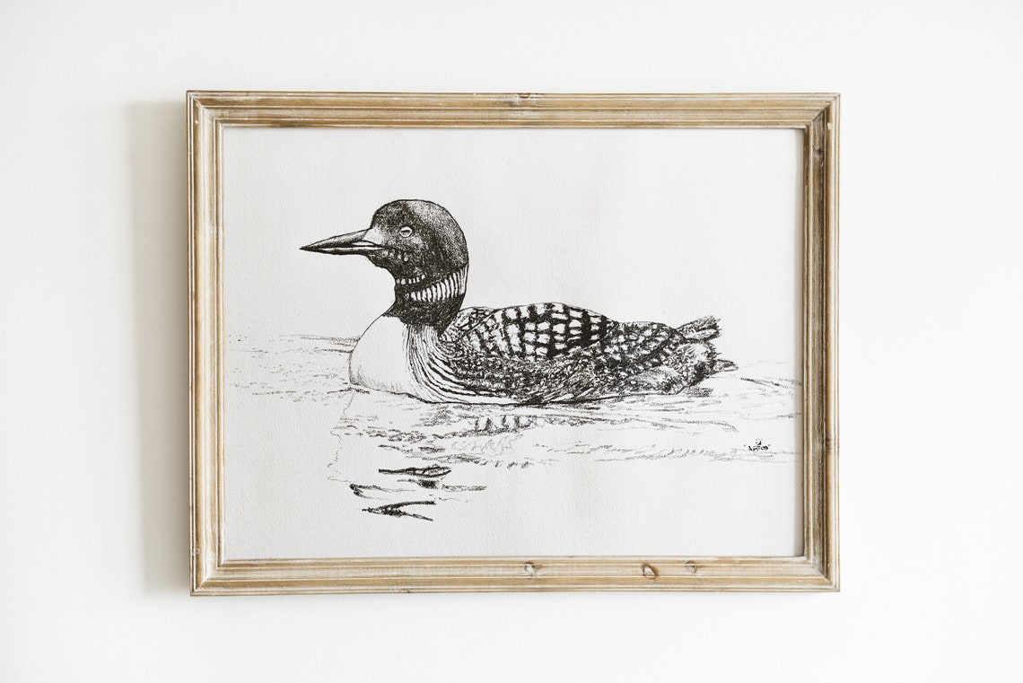 Loon Pencil Drawing Digital Download Print in 5 Sizes - Etsy