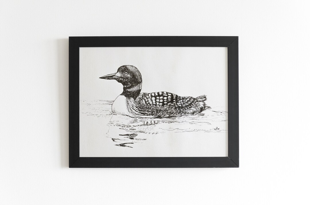 Loon Pencil Drawing Digital Download Print in 5 Sizes - Etsy