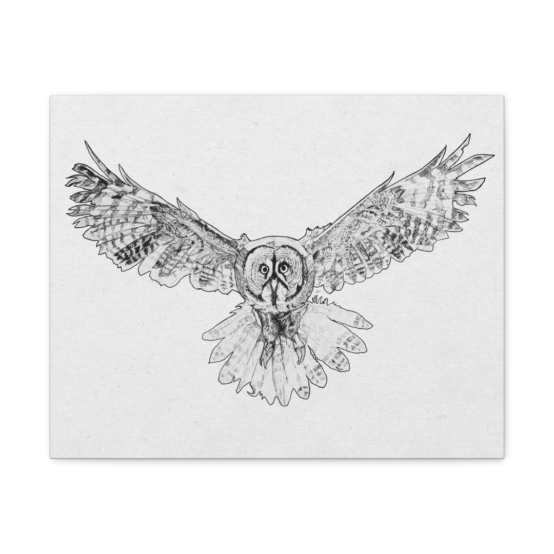 Flying Owl Drawing Printed on Canvas in Multiple Sizes - Etsy