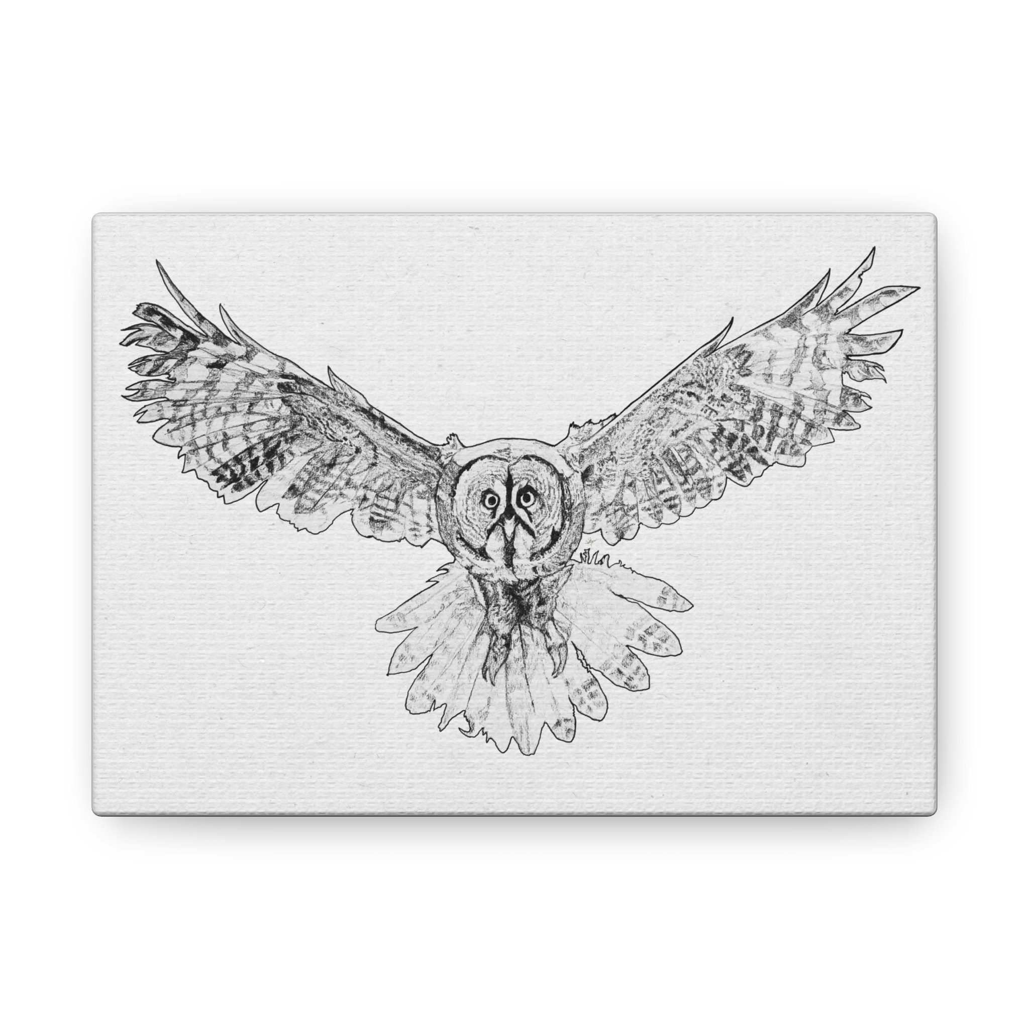 Flying Owl Drawing Printed on Canvas in Multiple Sizes - Etsy