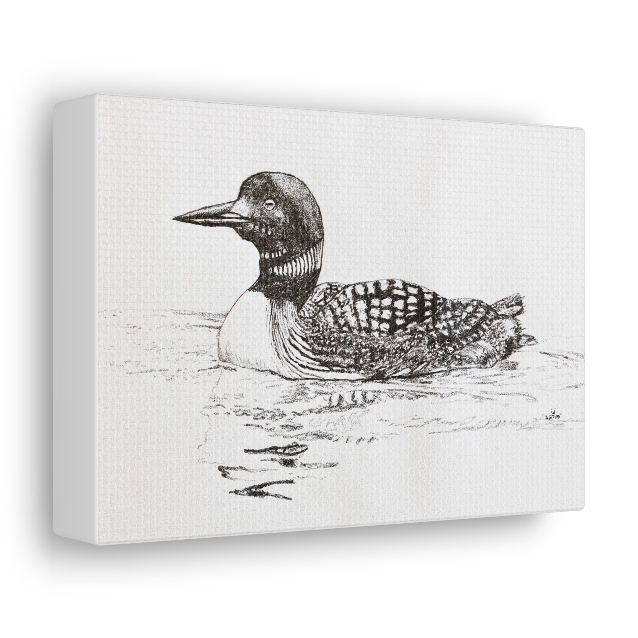 Loon Drawing Printed on Canvas in Multiple Sizes - Etsy