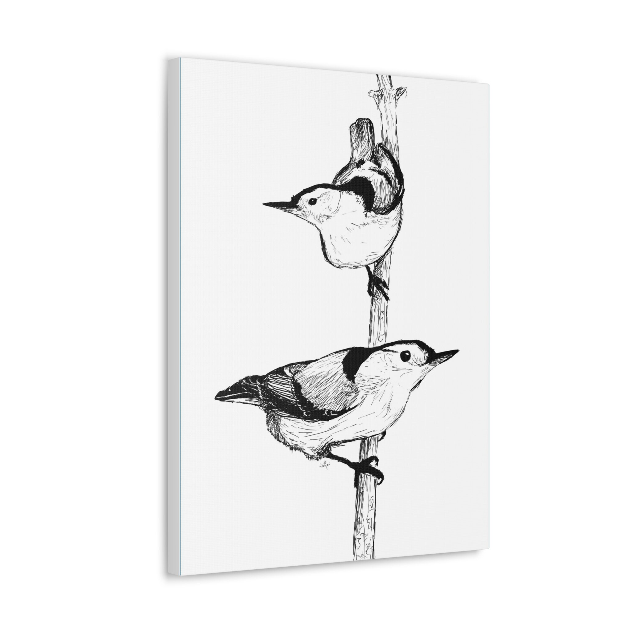 Nuthatches Drawing Printed on Canvas in Multiple Sizes Birds - Etsy