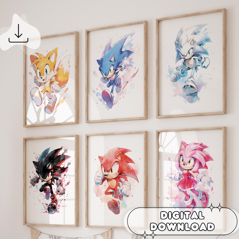 Amy Sonic Room Decor - Etsy