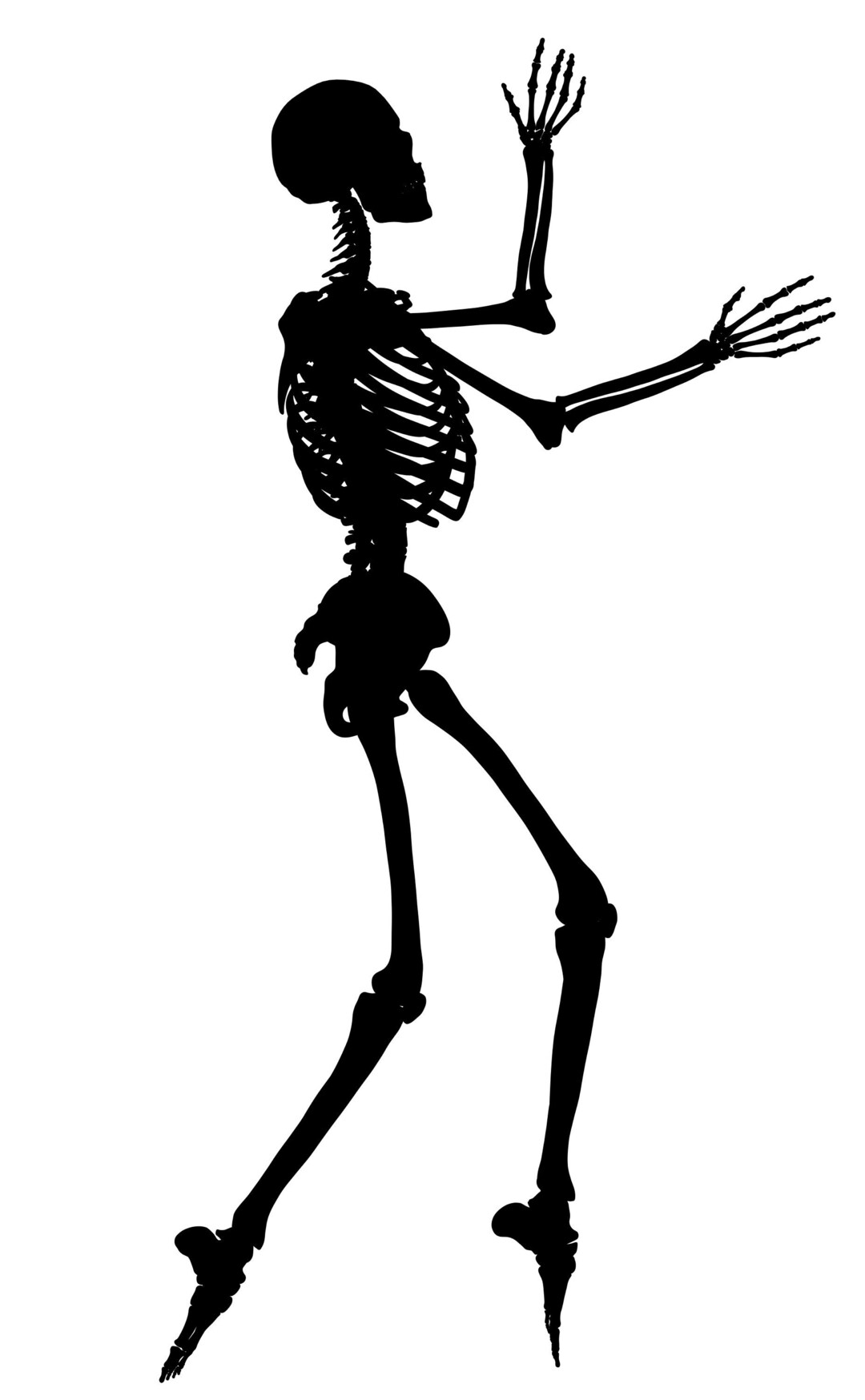 Skeleton Silhouette, Digital Download, Image of Skeleton in Silhouette ...