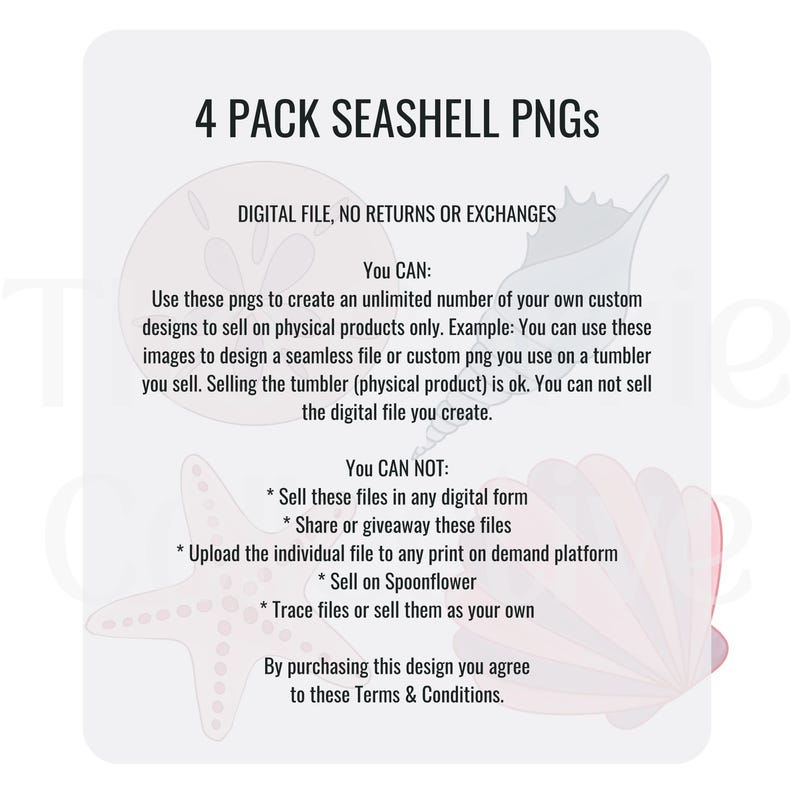 Seashell - 4 Pack PNG Clip Art - Etsy