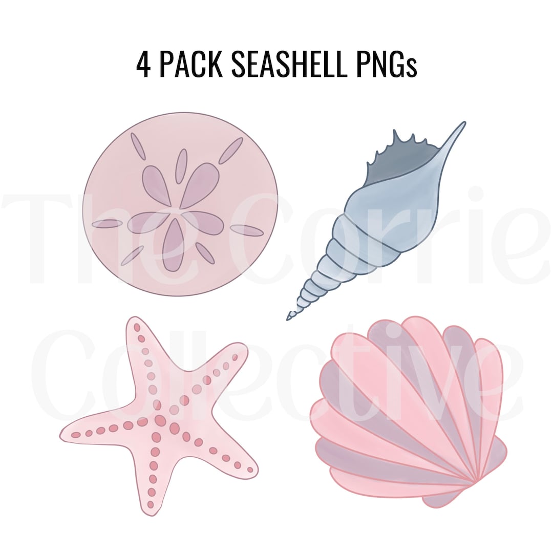 Seashell - 4 Pack PNG Clip Art - Etsy