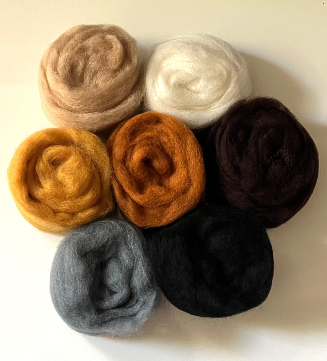 Ashford Corriedale Color Theme Packs Color furry - Etsy