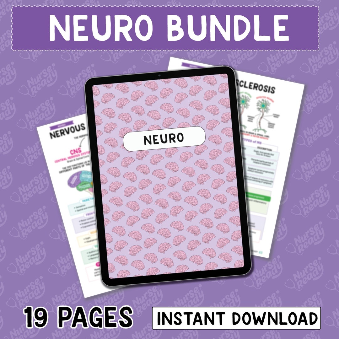 Neuro Nursing Notes Study Bundle - Etsy