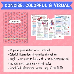 Cardiac Nursing Notes Study Bundle - Etsy