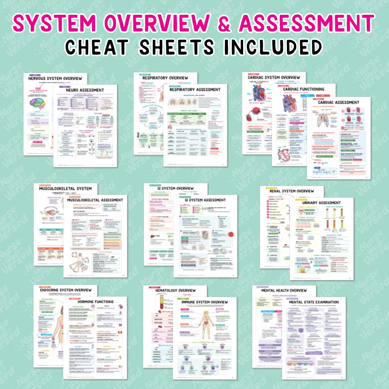 Nursing School Notes Success Bundle: Fundamentals, Medsurg ...