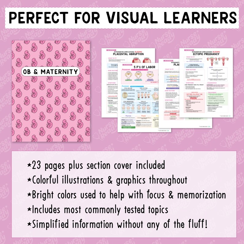 OB/ Maternity Nursing Notes Study Bundle - Etsy