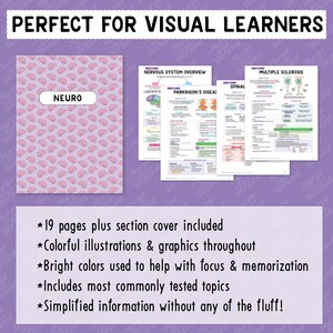 Neuro Nursing Notes Study Bundle - Etsy
