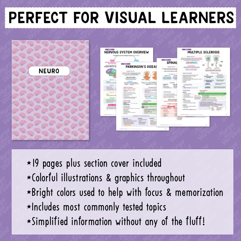 Neuro Nursing Notes Study Bundle - Etsy