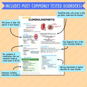 Renal Nursing Notes Study Bundle - Etsy