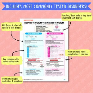 Endocrine Nursing Notes Study Bundle - Etsy
