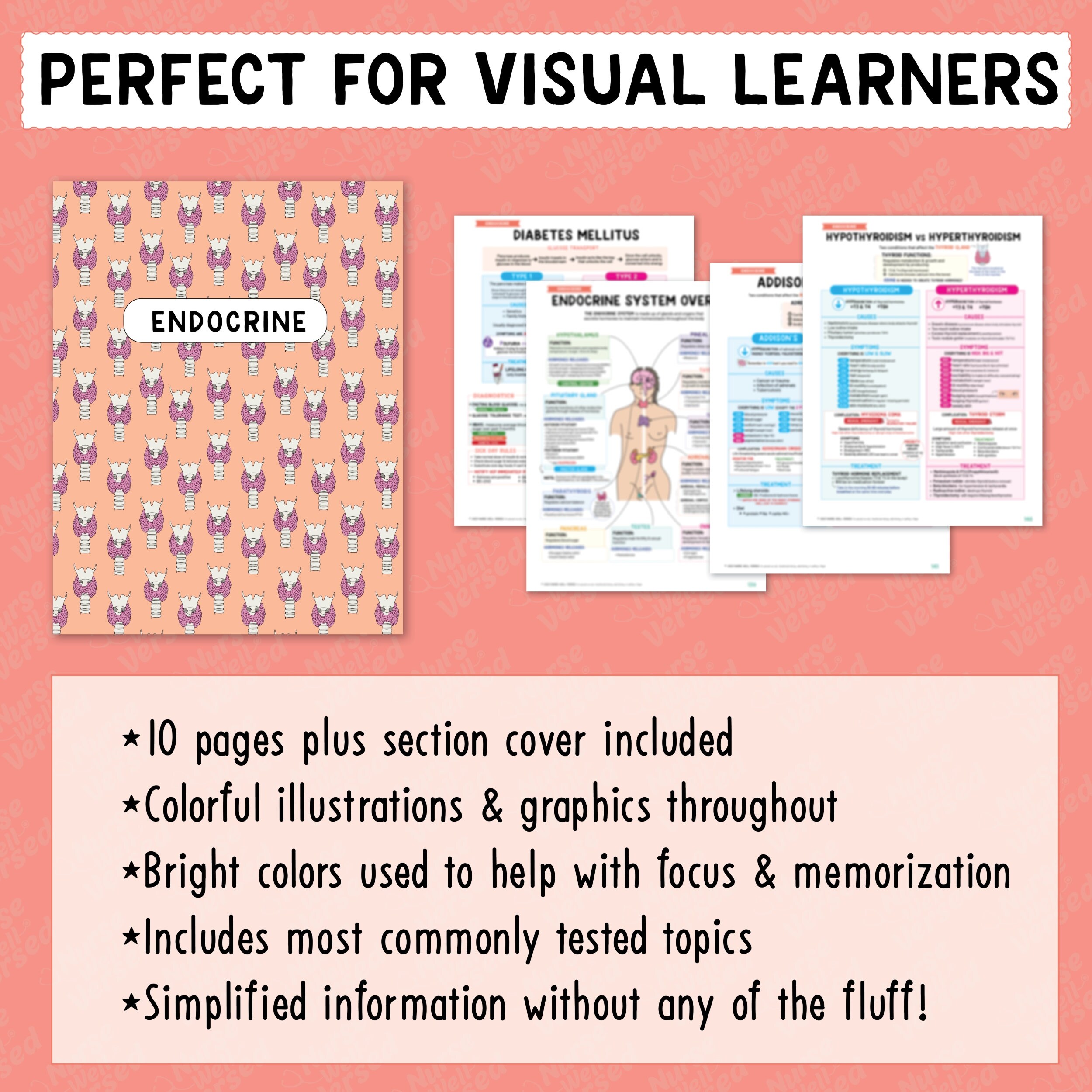Endocrine Nursing Notes Study Bundle - Etsy