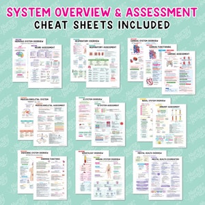 Nursing School Notes Success Bundle: Fundamentals Medsurg - Etsy Australia