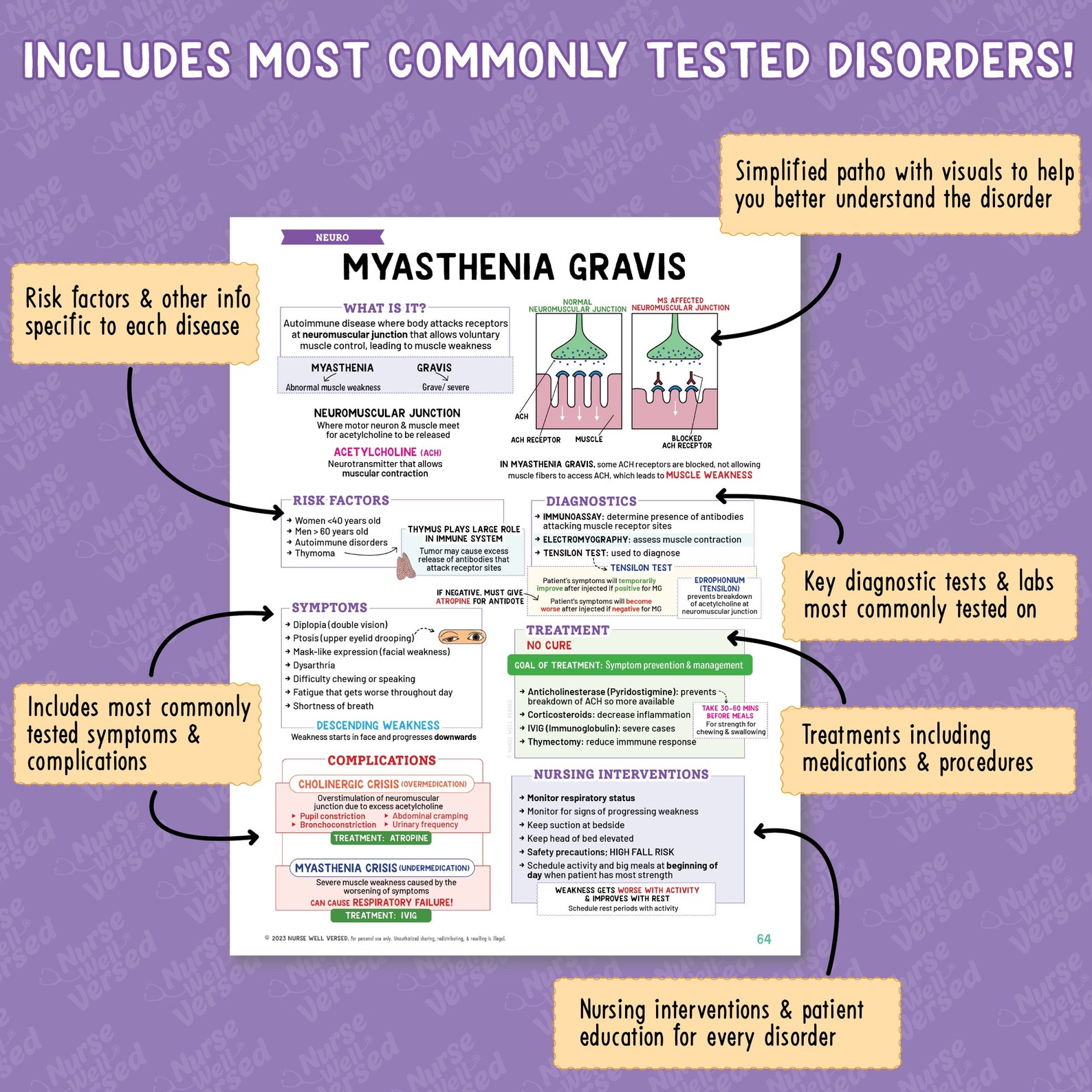 Neuro Nursing Notes Study Bundle - Etsy