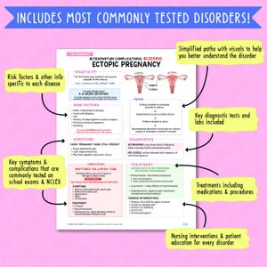 OB/ Maternity Nursing Notes Study Bundle - Etsy UK