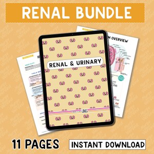 Endocrine System & Diseases, Endocrine Bundle, Nursing Study Guides ...
