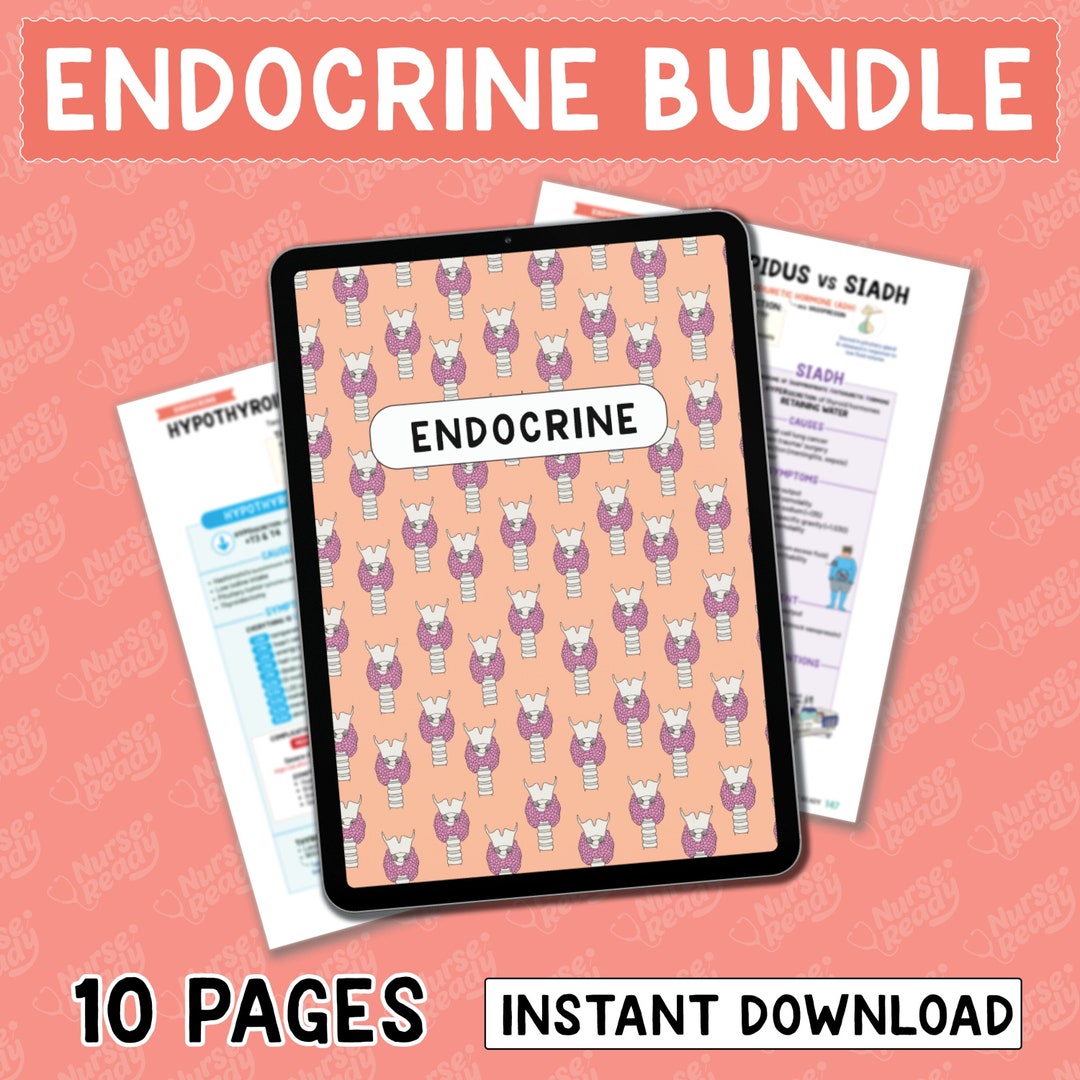 Endocrine Nursing Notes Study Bundle - Etsy