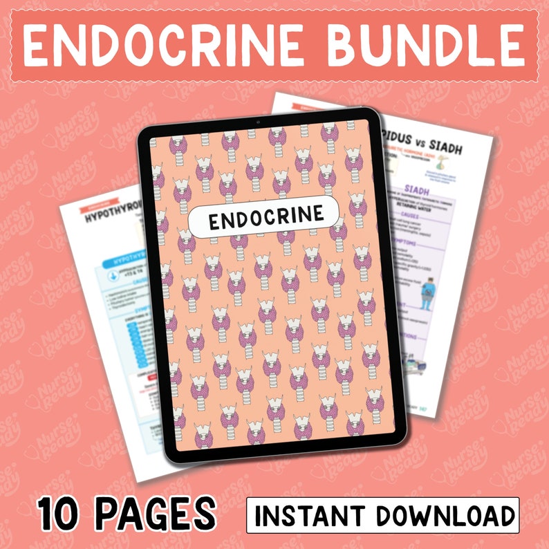 Endocrine Nursing Notes Study Bundle - Etsy