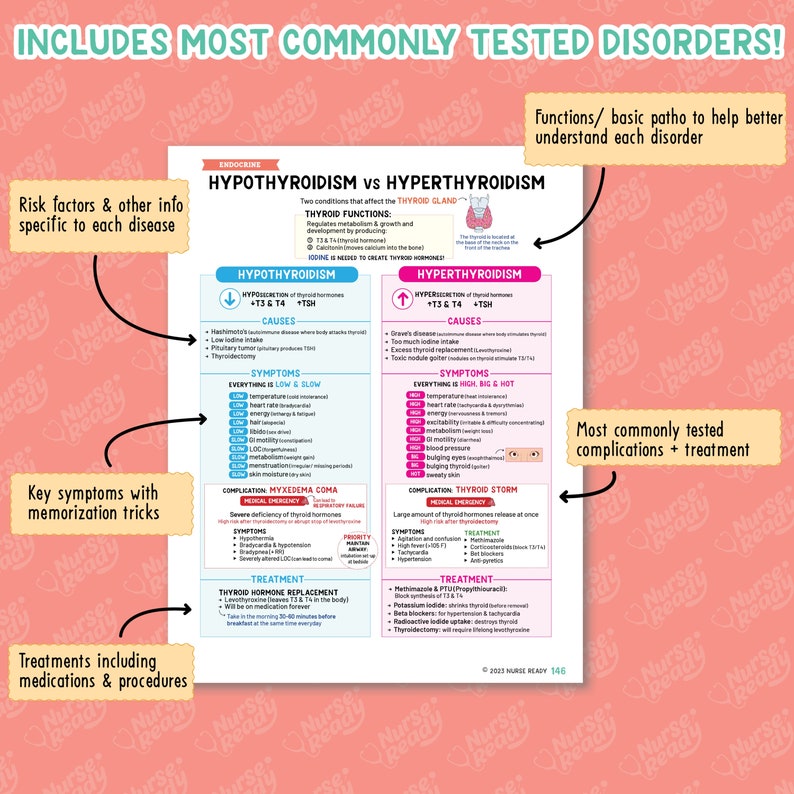 Endocrine Nursing Notes Study Bundle - Etsy