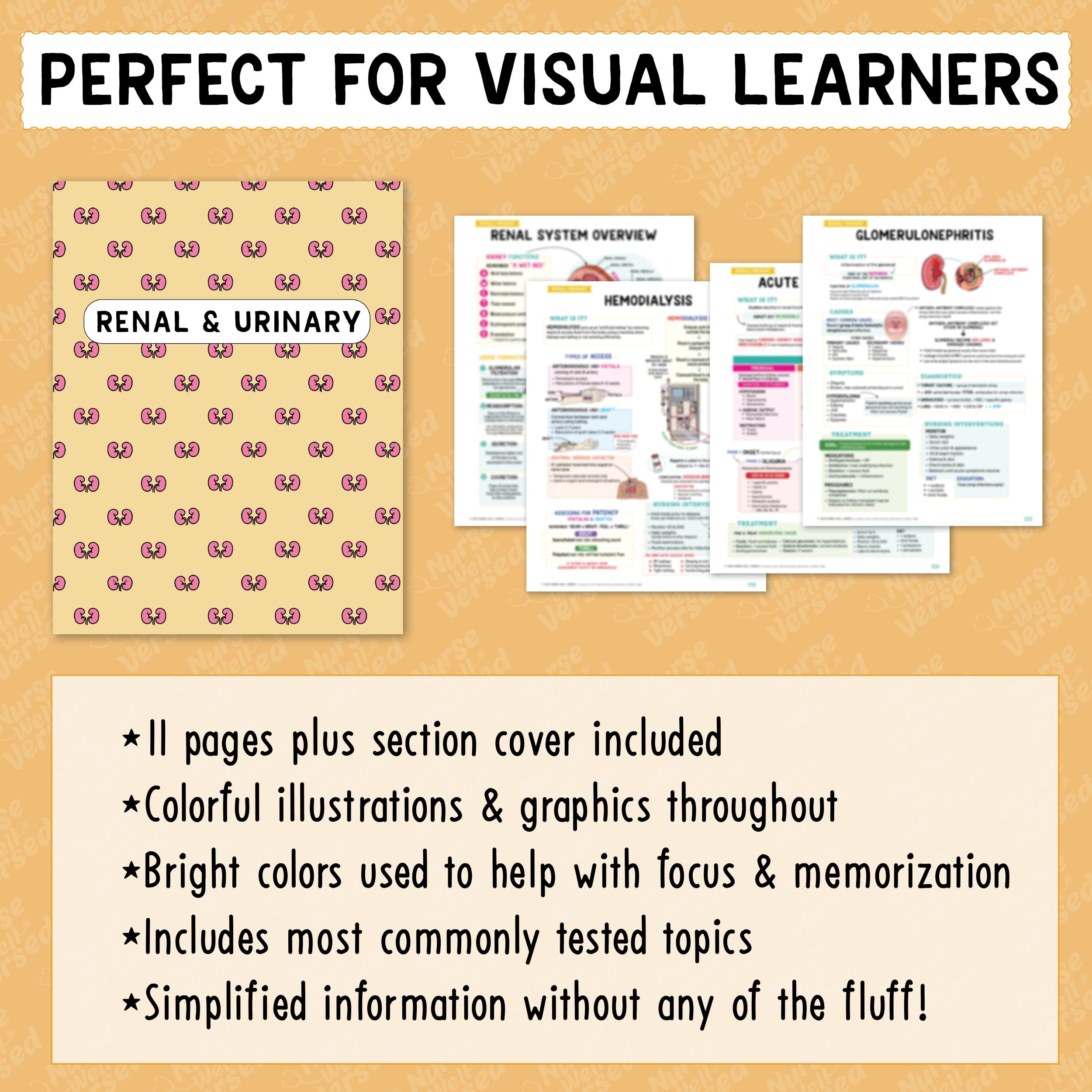 Renal Nursing Notes Study Bundle - Etsy