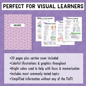 Neuro Nursing Notes Study Bundle - Etsy