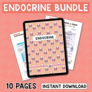 Endocrine System & Diseases, Endocrine Bundle, Nursing Study Guides ...