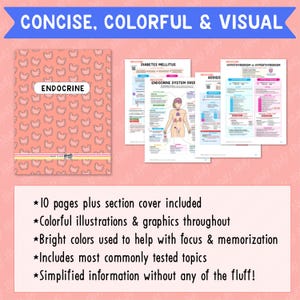 Endocrine Nursing Notes Study Bundle - Etsy