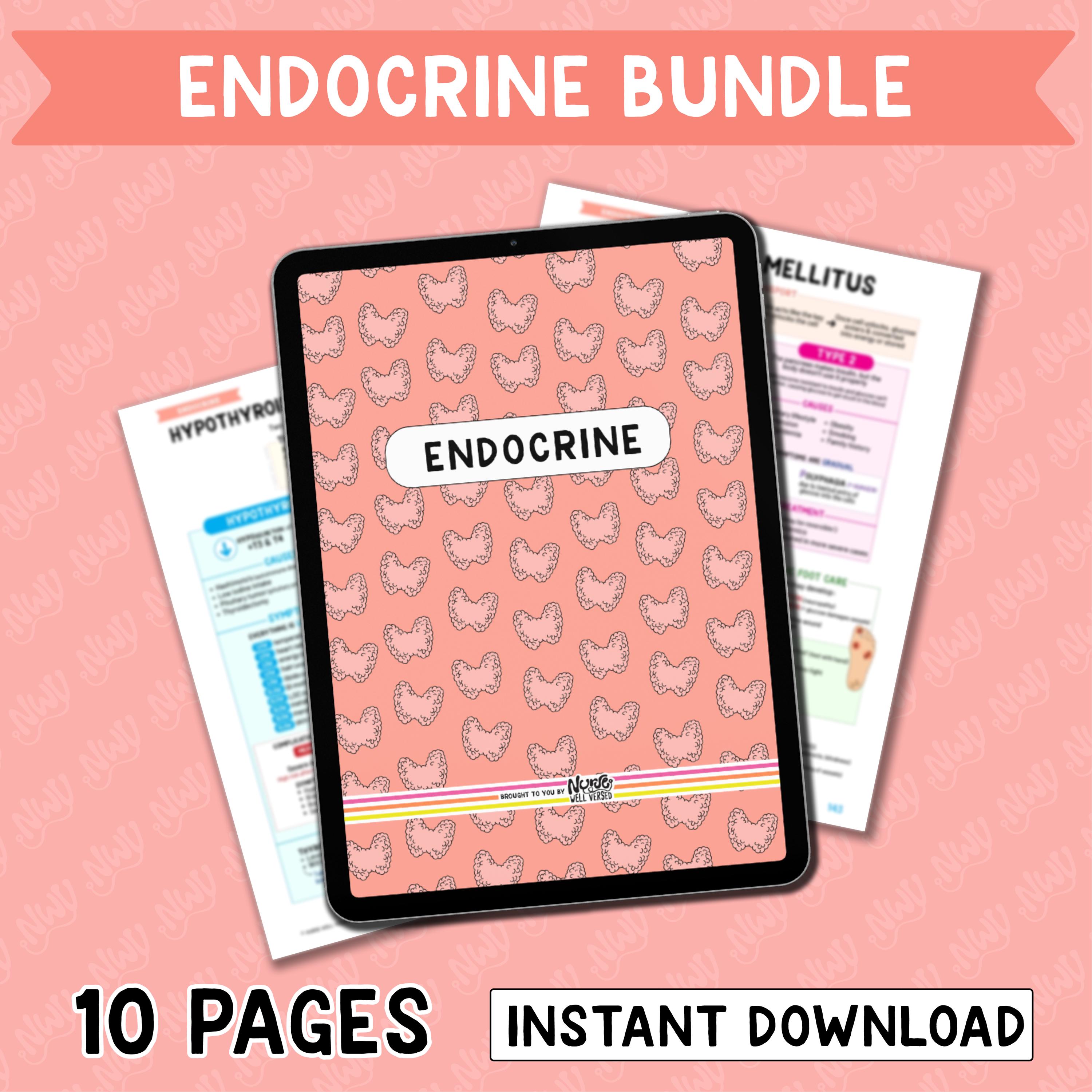 Endocrine Nursing Notes Study Bundle - Etsy