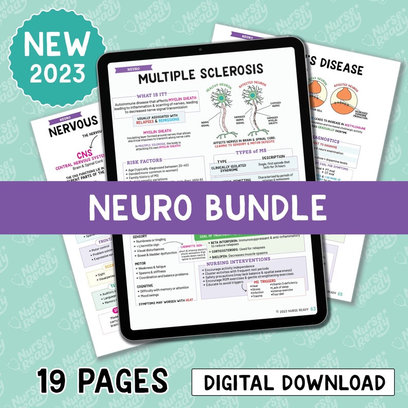 Neuro Nursing Notes Study Bundle - Etsy