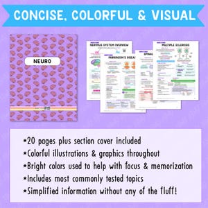 Neuro Nursing Notes Study Bundle - Etsy