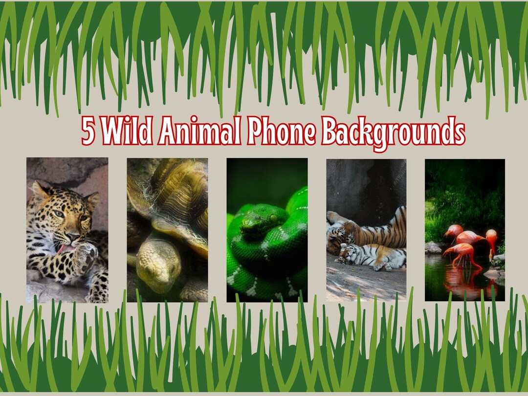 5 Wild Animal Phone Wallpapers I Lock Screen Backgrounds I - Etsy