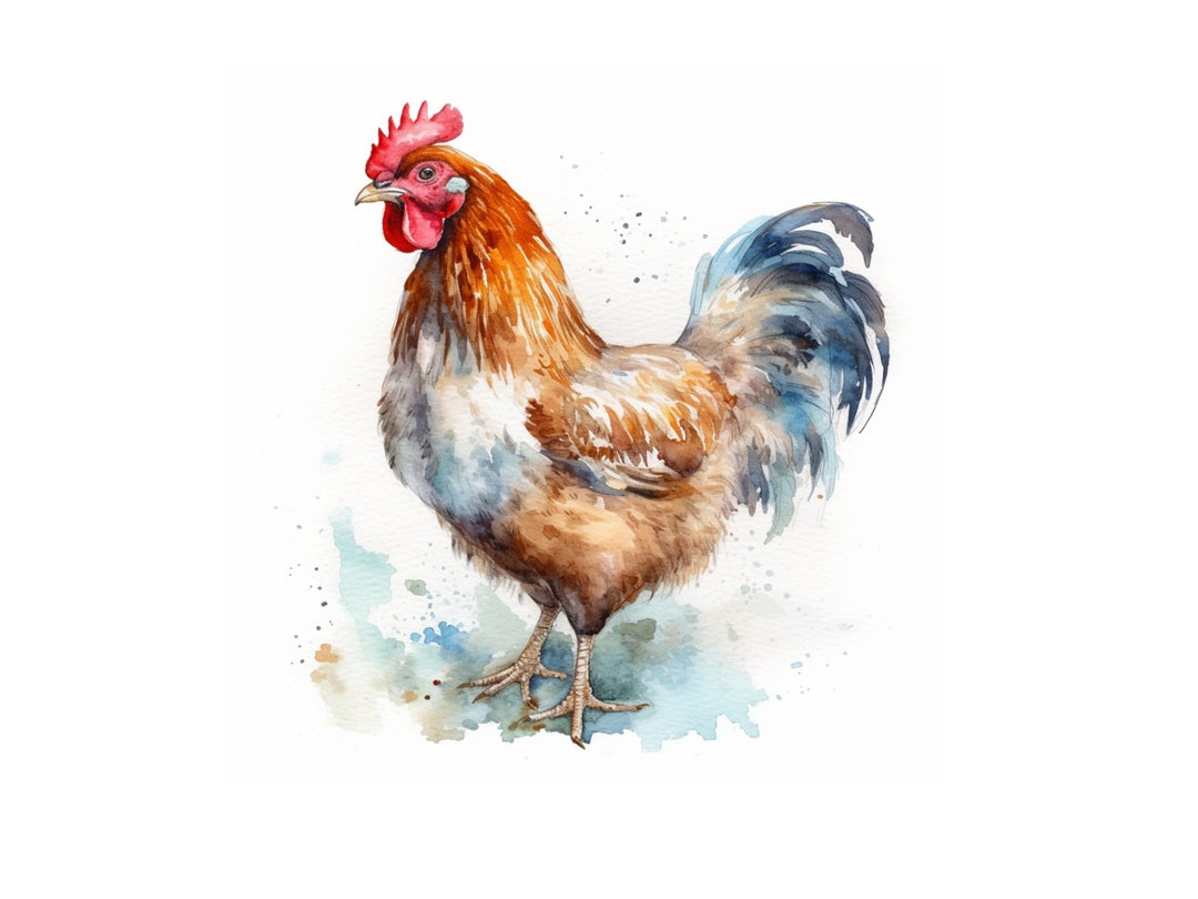 Chicken Watercolor Print, Watercolor Print, Animal Wall Art, Chicken ...
